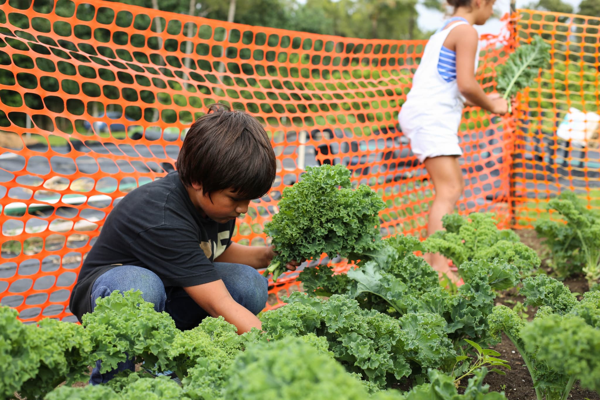 Waipā Foundation | Malama 1