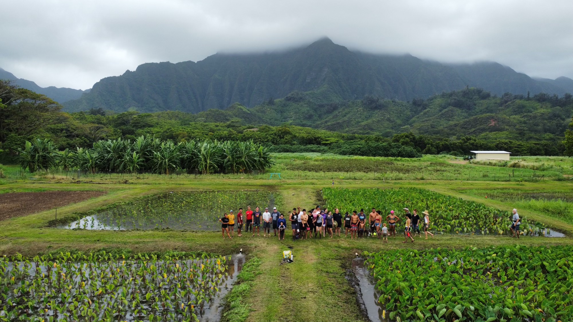 Kākoʻo ʻŌiwi | Malama 1