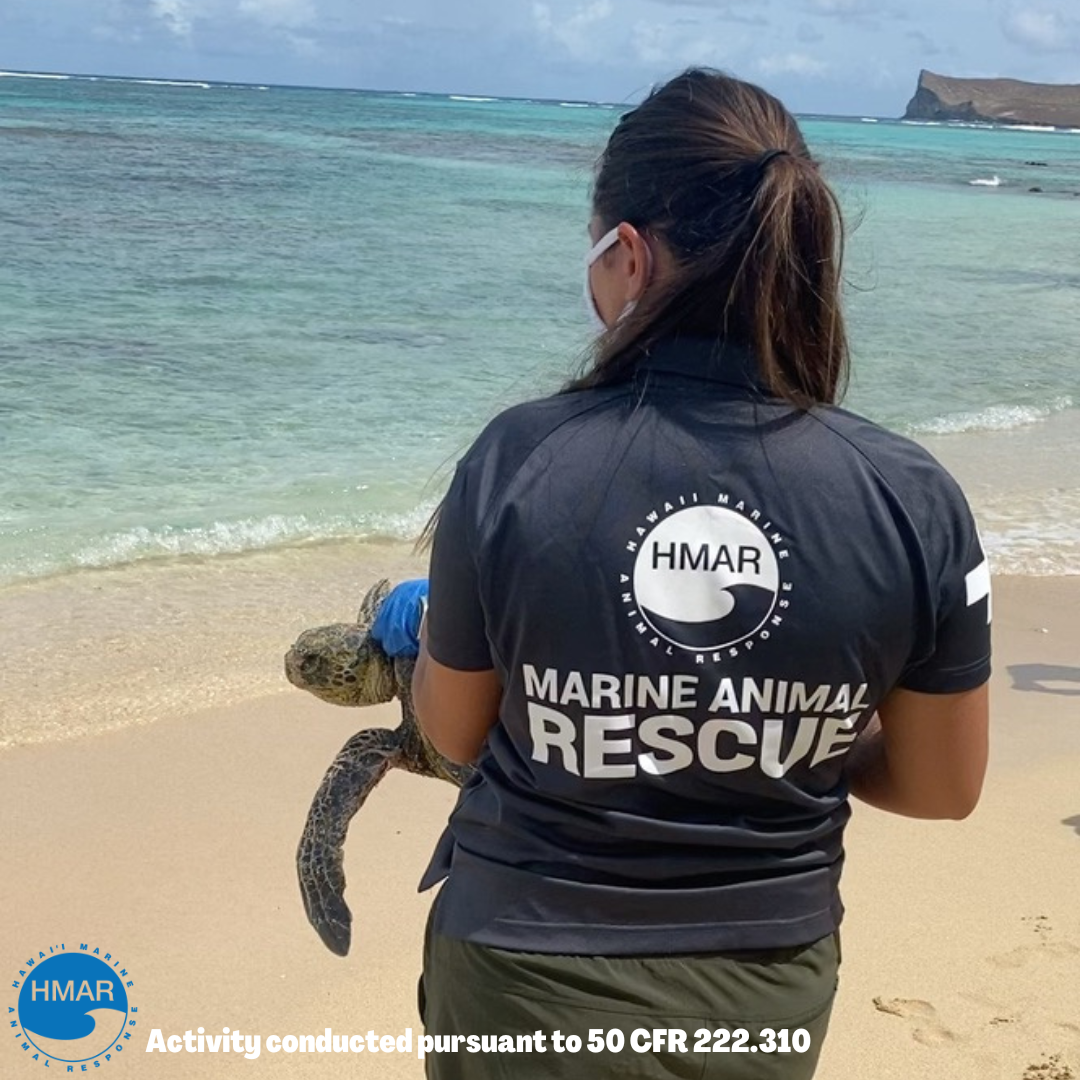 Hawaiʻi Marine Animal Response: HMAR | Malama 1