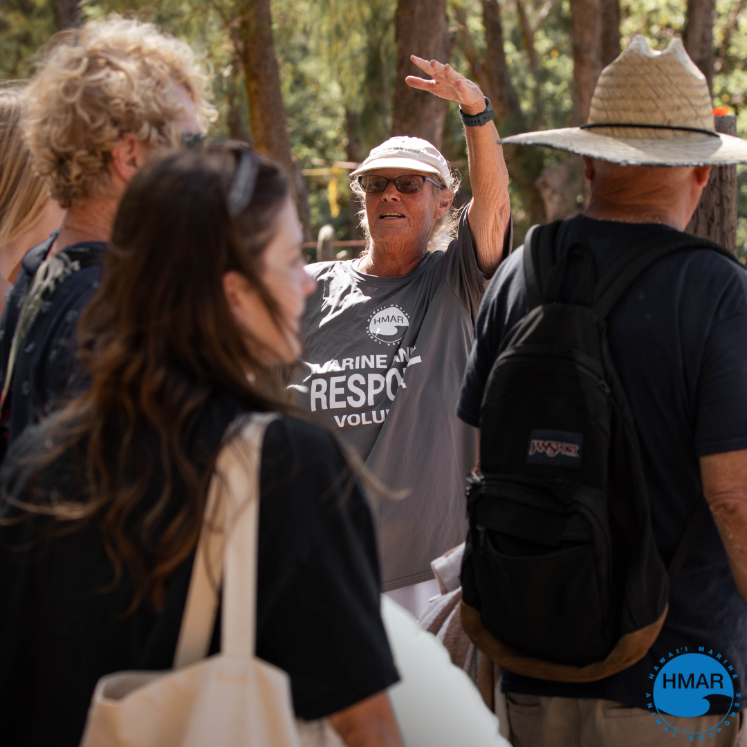 Hawaiʻi Marine Animal Response: HMAR | Malama 1