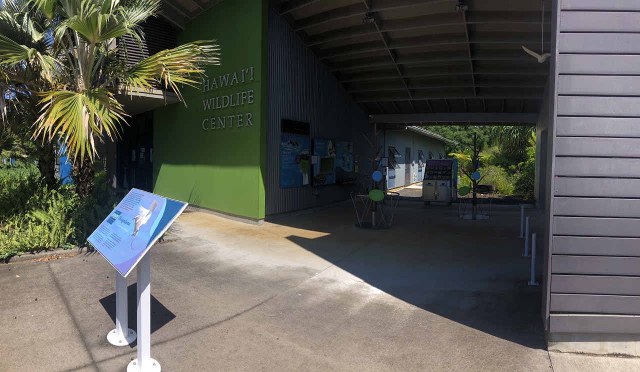 Hawaiʻi Wildlife Center | Malama 1